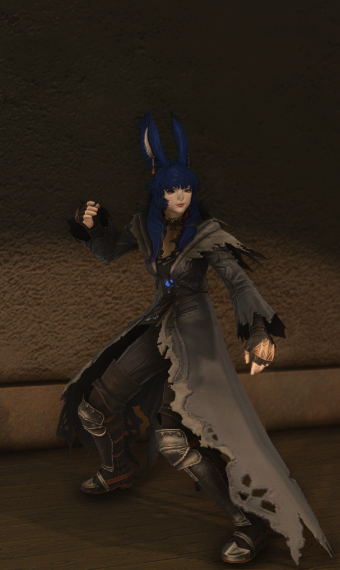 Street Brawler | Eorzea Collection