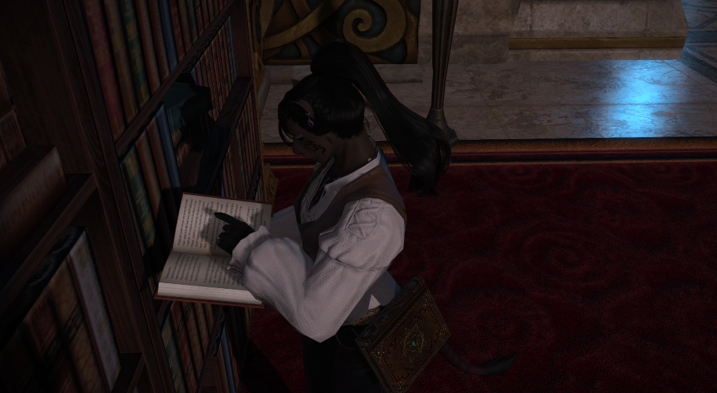 Seeker of Esoteric Knowledge | Eorzea Collection