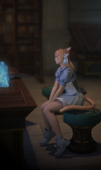 lost in books | Eorzea Collection