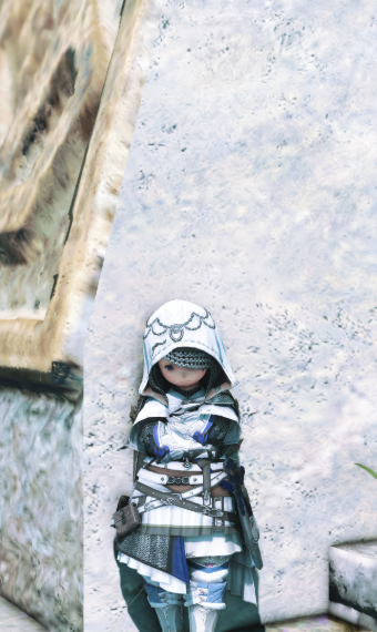 Seeking Paladin | Eorzea Collection