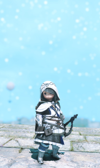 Seeking Paladin | Eorzea Collection