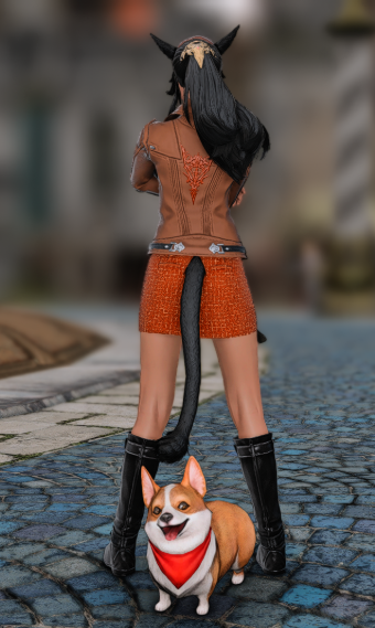 Timeless | Eorzea Collection