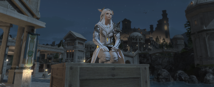 Studious Cat | Eorzea Collection
