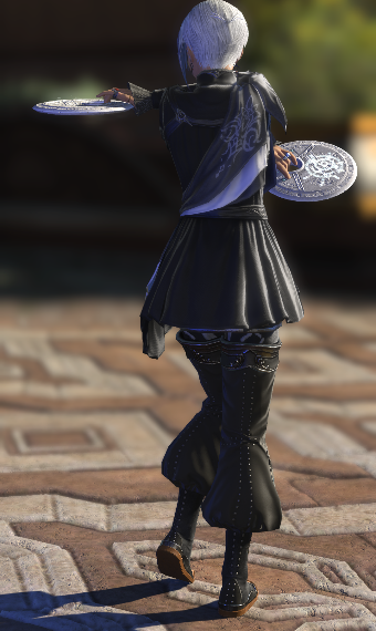 Retracing steps | Eorzea Collection
