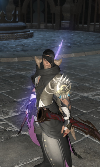 Wanted Ronin | Eorzea Collection