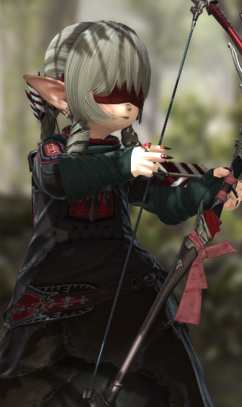 Echo of the Shroud | Eorzea Collection