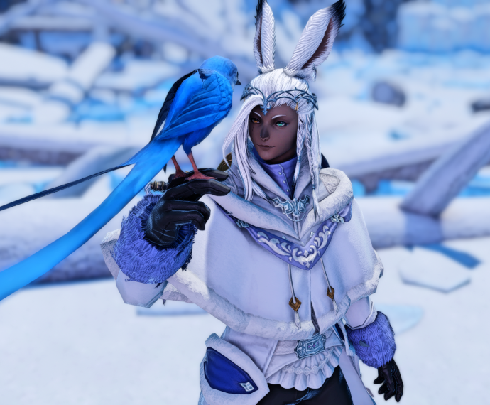 The cold DID bother me | Eorzea Collection