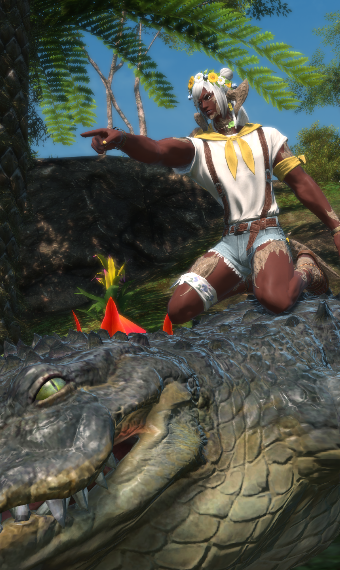 Sanctuary Protector | Eorzea Collection