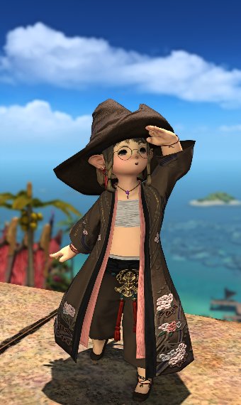Wandering Mage | Eorzea Collection