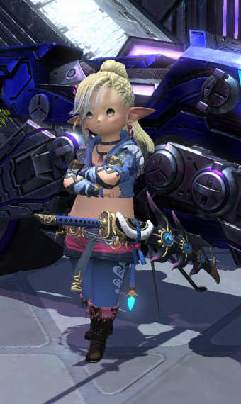 Solution 9 Sam | Eorzea Collection