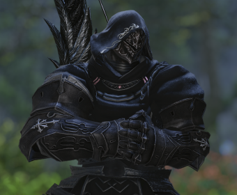 Shadow Of The Hunt (Bard) | Eorzea Collection