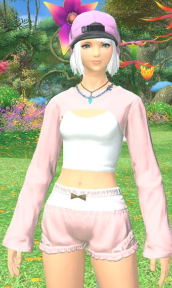 Enchanted Land | Eorzea Collection