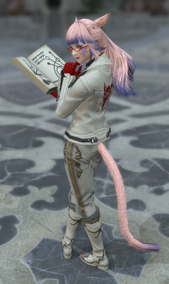 Spiritmaster Mixed Set (BRAVELY DEFAULT) | Eorzea Collection