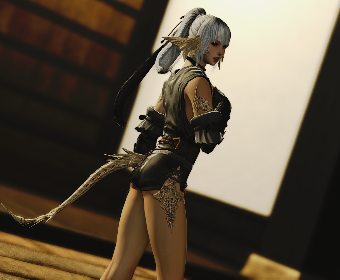 Mystic of the black | Eorzea Collection