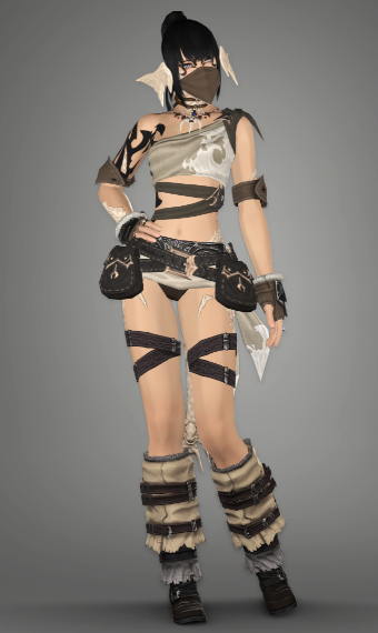 desert rogue | Eorzea Collection