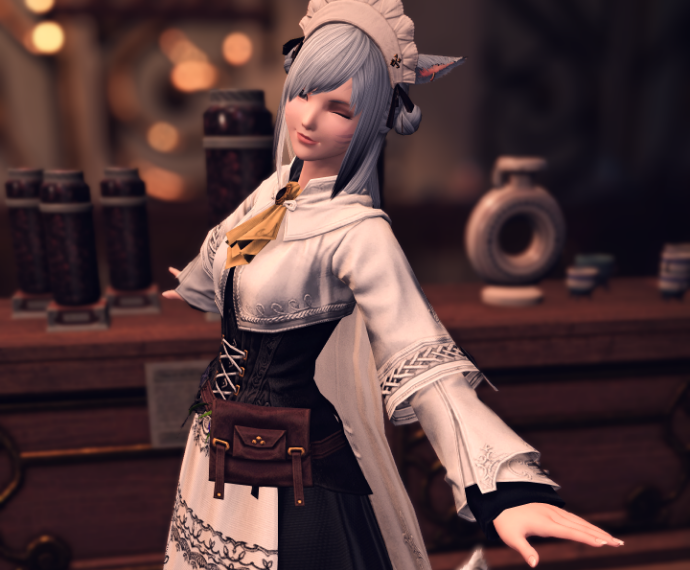 Travel Maid | Eorzea Collection