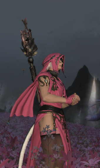 Mystic of the Cherry Blossoms | Eorzea Collection