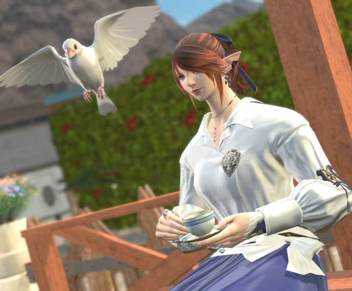 Blue Cottage Core | Eorzea Collection