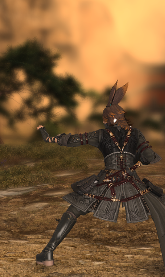 Ijin Samurai | Eorzea Collection