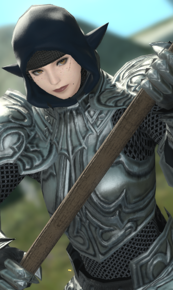 Fortitude | Eorzea Collection