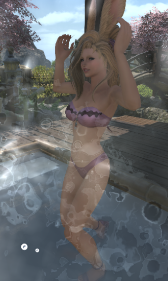 Pink Bikini Time | Eorzea Collection
