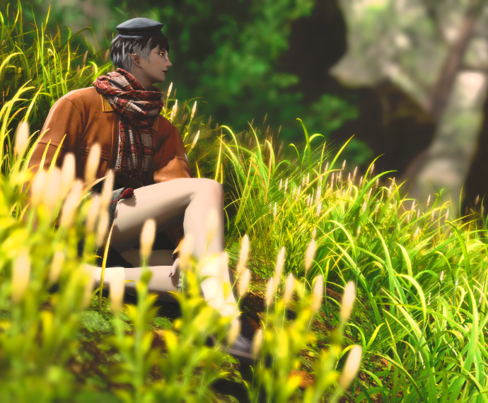 A Chilly Autumn Morning | Eorzea Collection