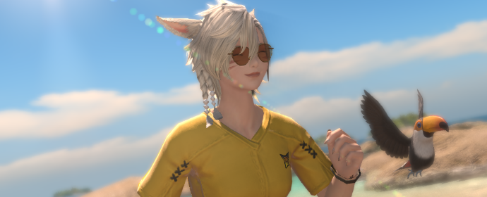 Simple Summer Fun | Eorzea Collection