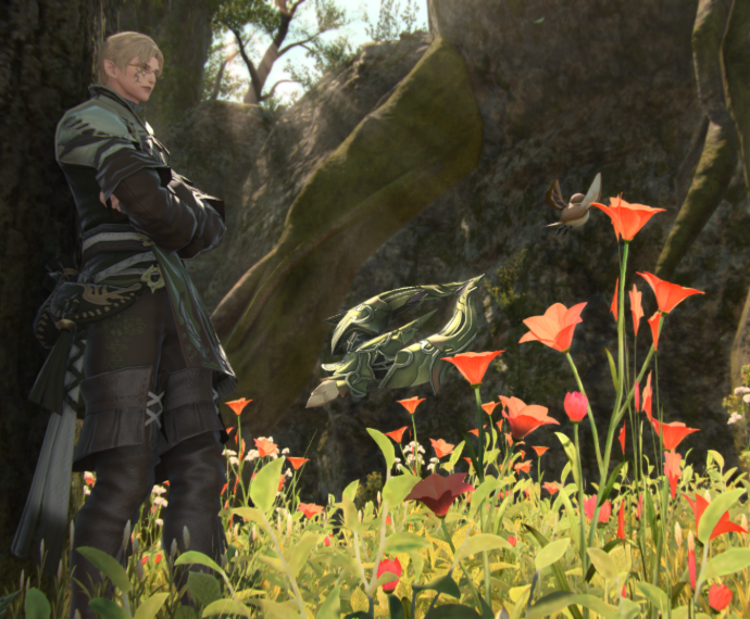 Black Shroud: Elderbloom Sage | Eorzea Collection