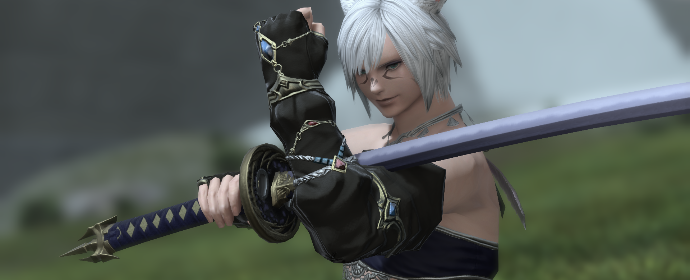 Wanderer's Battle Dress | Eorzea Collection