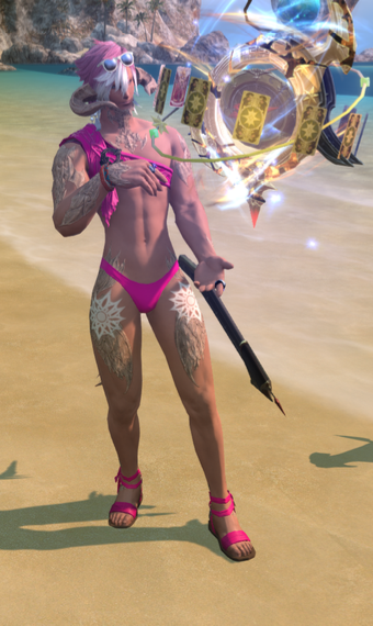Hot Healer Summer | Eorzea Collection