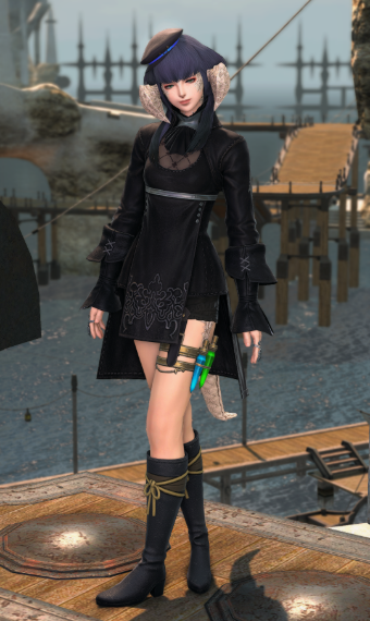 Quiet Darkness | Eorzea Collection