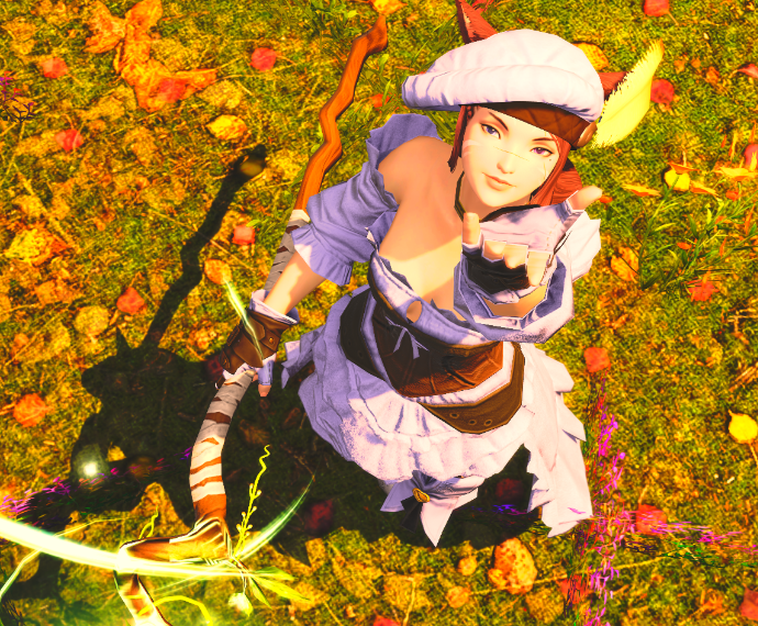 Adventuring Elementalist | Eorzea Collection