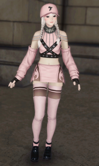 Raider | Eorzea Collection