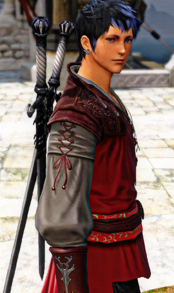 Aspiring Squire | Eorzea Collection