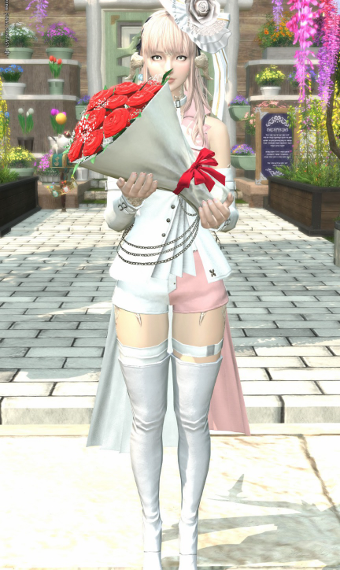 Idol em treinamento | Eorzea Collection