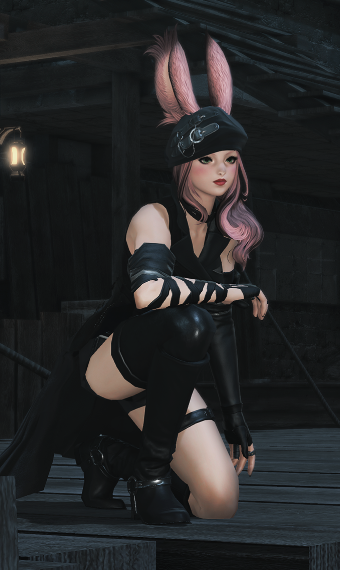 I'ma gear up and take you down | Eorzea Collection
