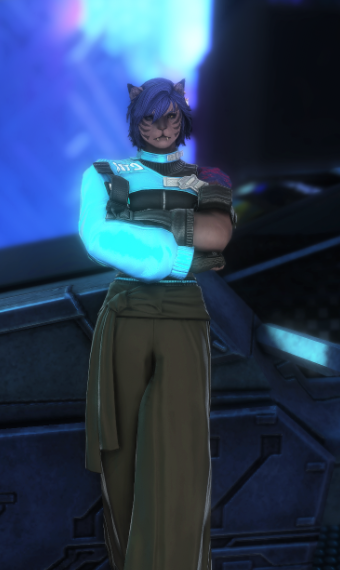 Solution 10 | Eorzea Collection