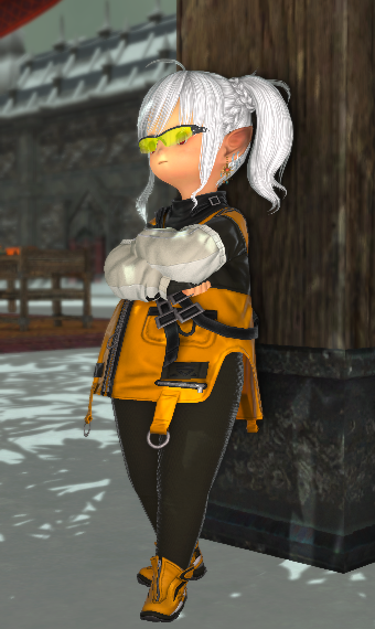 Soldier 11 - Zenless Zone Zero (ZZZ) | Eorzea Collection