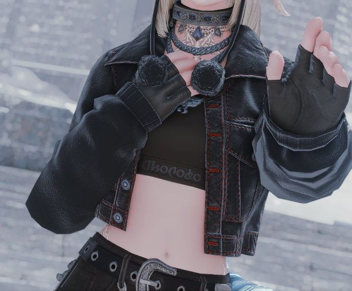 We disappeared with the Winter Sun | Eorzea Collection