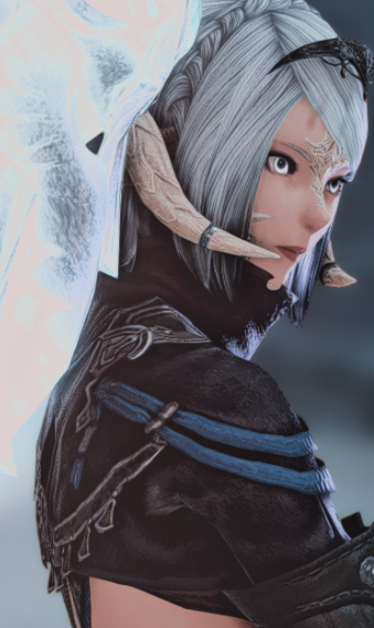 Winter | Eorzea Collection