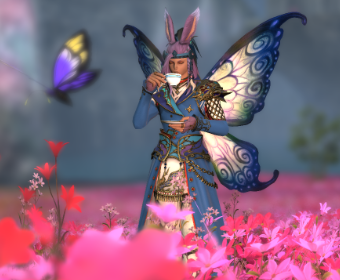 Butterfly Prince | Eorzea Collection