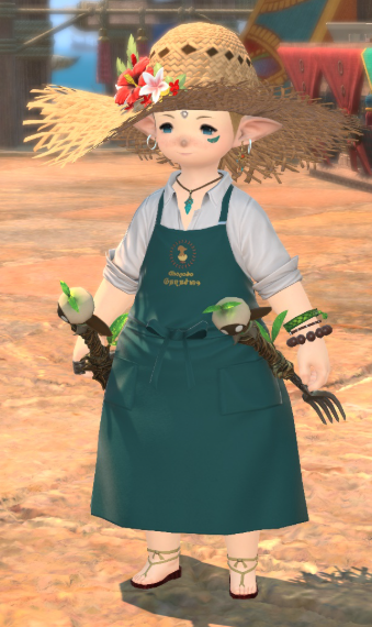 Tropical barbeque ninja | Eorzea Collection