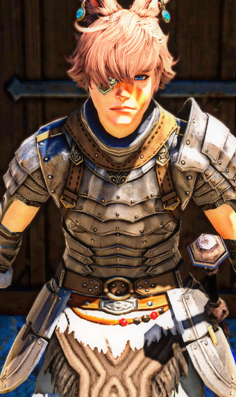 Hired Guard | Eorzea Collection