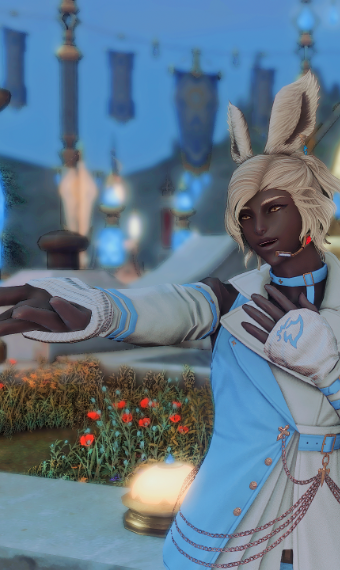 The iD0L | Eorzea Collection