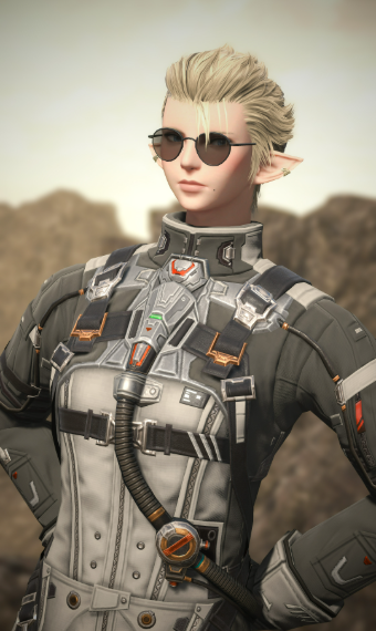 Ace Pilot | Eorzea Collection