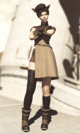 Dusty Defense | Eorzea Collection