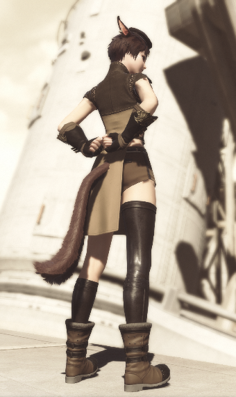 Dusty Defense | Eorzea Collection