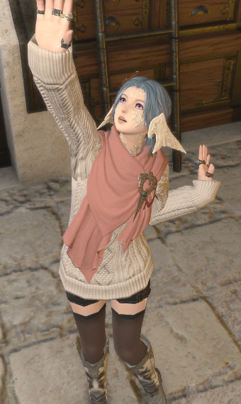 Autumn Stroll | Eorzea Collection