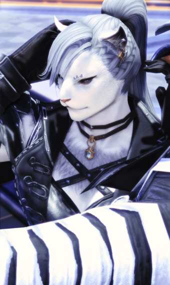 Solution 9ine | Eorzea Collection