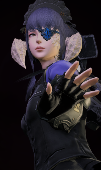 Secret Service | Eorzea Collection